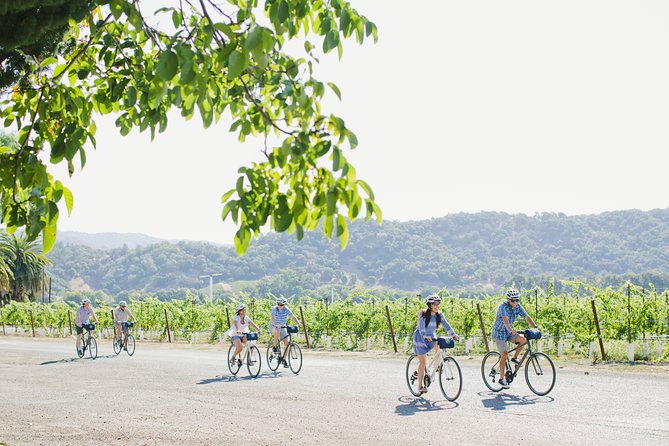 Full-Day Napa Valley E-Bike Tour With Picnic Lunch - Booking and Cancellation Policy