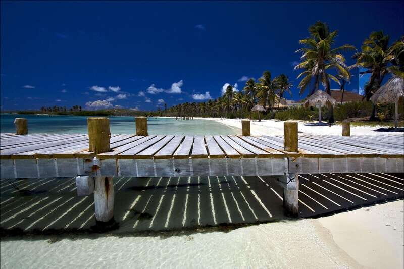 Full Day Nature Expedition to Contoy Island and Isla Mujeres - An Introduction to the Tour Experience