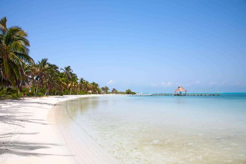 Full Day Nature Expedition to Contoy Island and Isla Mujeres - Detailed Breakdown of the Itinerary