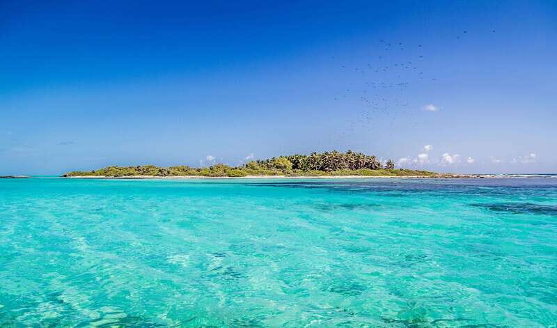 Full Day Nature Expedition to Contoy Island and Isla Mujeres - What’s Included and What to Budget for