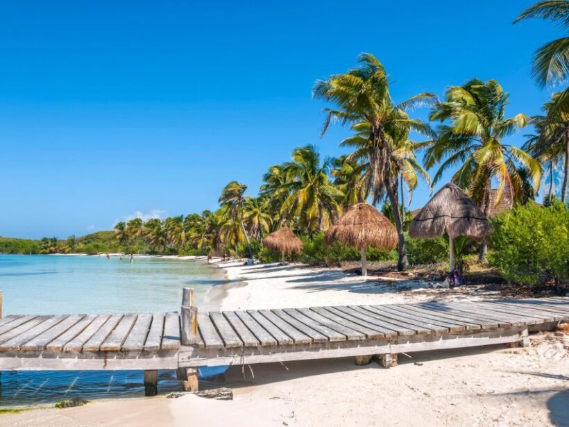 Full Day Nature Expedition to Contoy Island and Isla Mujeres - Authentic Experiences and Feedback from Travelers