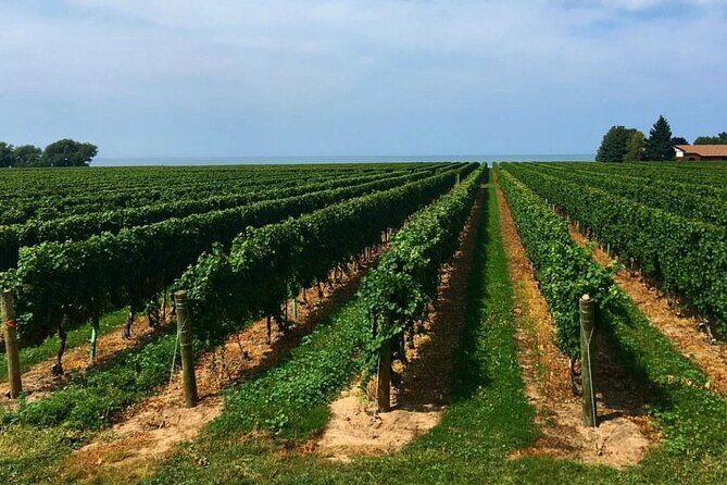 Full-Day Niagara-On-The-Lake Guided Wine and Charcuterie Tour - FAQ