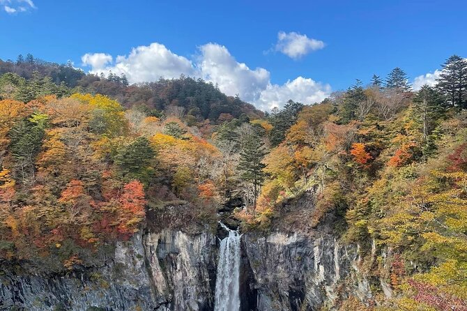 Full Day Nikko Private Tour With English Speaking Guide. - Accessibility and Recommendations