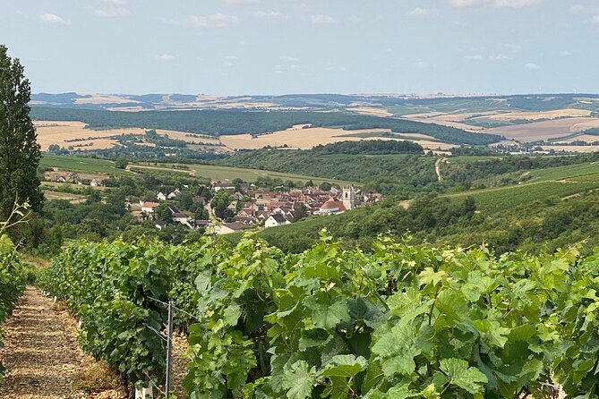 Full-Day North Burgundy and Chablis Tour Review - Exploring the Vineyards and Wineries