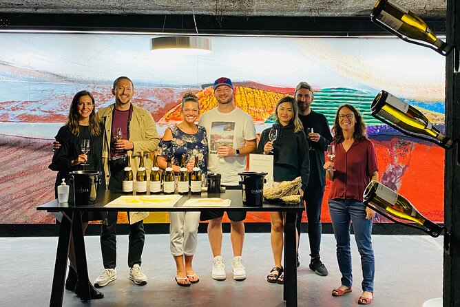 Full-Day North Burgundy and Chablis Wine Tasting Tour from Paris - Final Vineyard Visit and Scenic View