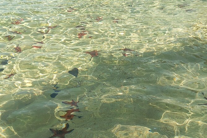 Full Day North of Phu Quoc Island Private Tour by Local Guide - What Travelers Say