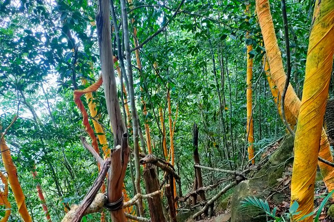 Full Day North of Phu Quoc Island Private Tour by Local Guide - FAQs