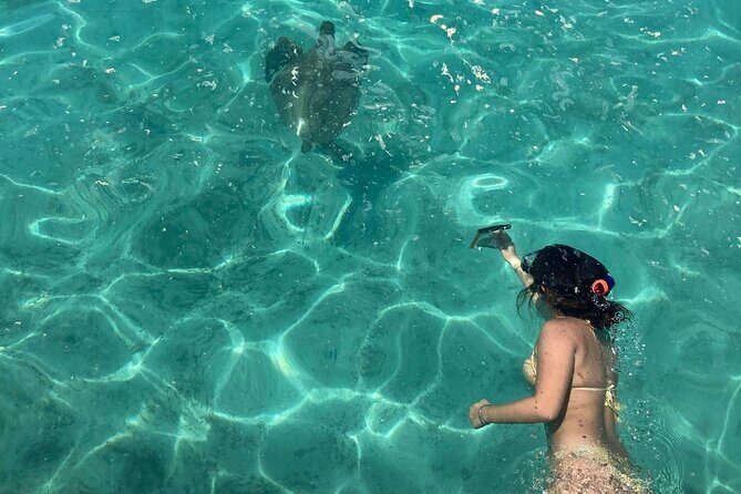 Full Day Nouméa Signal Island Turtle Tour - Introducing the Full Day Nouméa Signal Island Turtle Tour