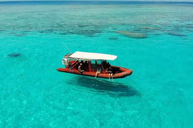 Full Day Nouméa Signal Island Turtle Tour - Getting There: From Port to Paradise