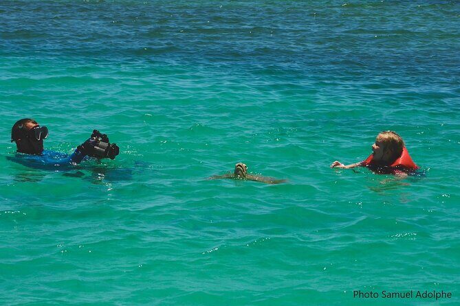 Full Day Nouméa Signal Island Turtle Tour - Practicalities and What’s Included
