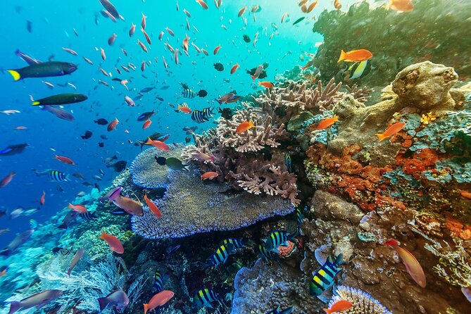 Full-Day Nusa Penida Snorkeling Adventure from Bali - Frequently Asked Questions