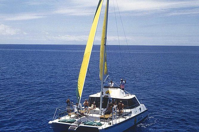 Full Day Oahu Bike, Hike, Sail and Snorkel Combo - Final Thoughts