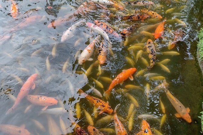 Full Day Oahu Tour with Byodo Temple & Waimea Waterfalls - What the Reviews Say