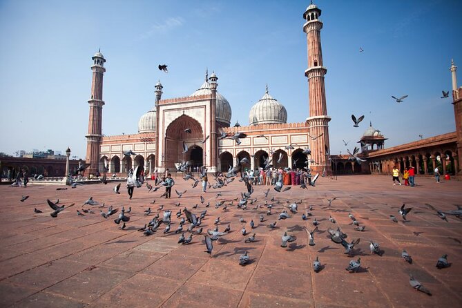 Full Day Old and New Delhi Private Tour with Guide - The Sum Up