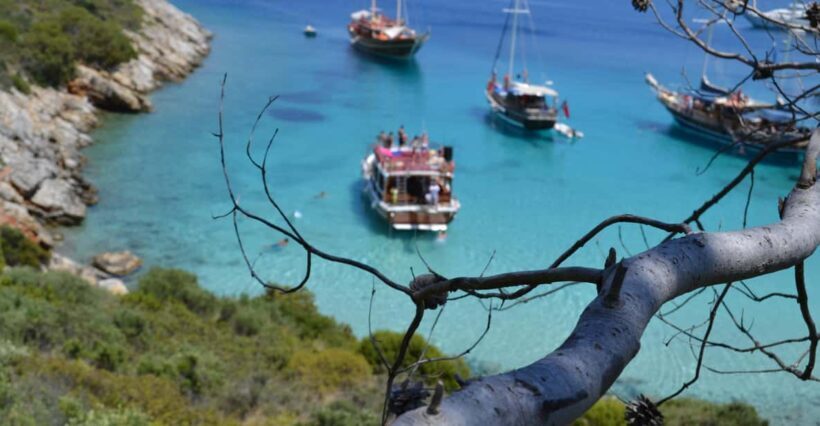 Full-Day Orak Island Boat Trip from Bodrum - Key Points
