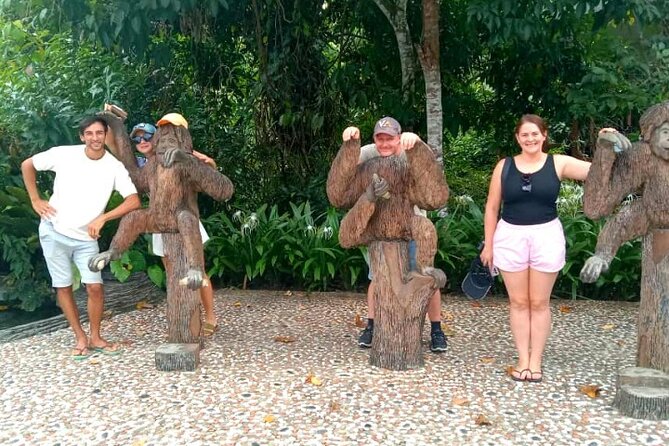 Full Day Orang Utan Sepilok, Proboscis Monkey, Sunbear, RDC - Introduction: A Journey into Borneo’s Wildlife