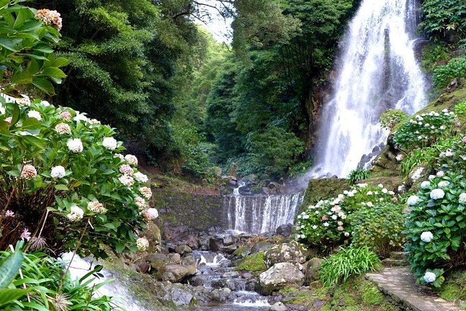 Full Day Outdoor Nordeste & Waterfall Tour With Lunch - Guides and Customer Experiences