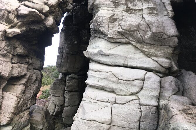 Full day Outdoor Rock Climbing Auckland at Ti Point - An Exciting Day of Outdoor Climbing in Auckland