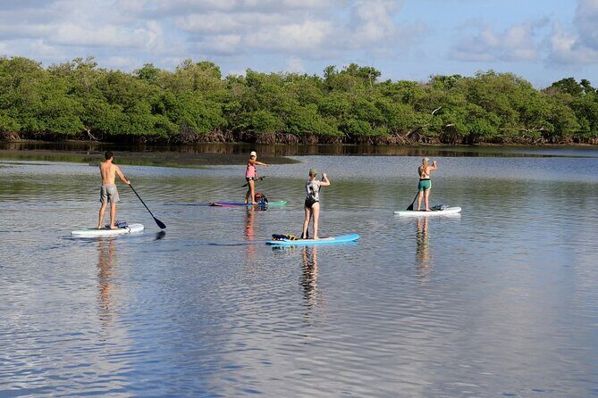 Full-Day Paddle Board Rental in Naples, Florida - Exploring Naples on Your Paddleboard