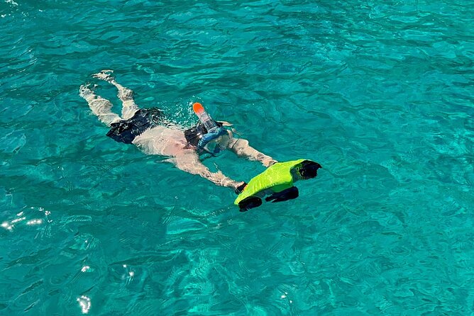 Full Day Palermo Boat Tour With Palermo Experiences - Activities and Experiences