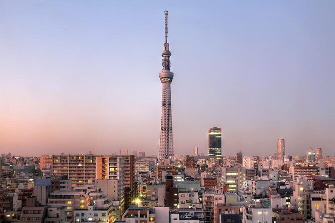Full-Day Panoramic Bus Tour in Tokyo with Bay Cruise - Introduction: Is This Tokyo Tour Right for You?