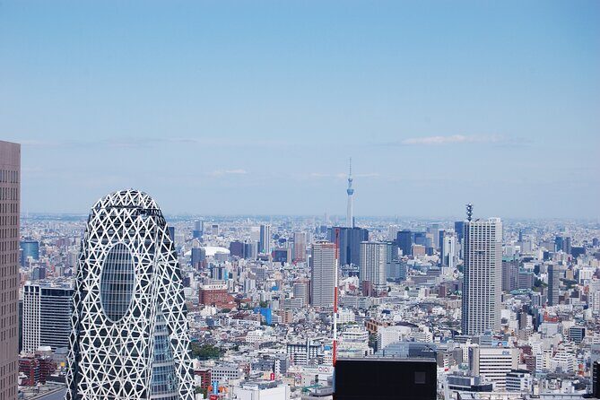 Full-Day Panoramic Bus Tour in Tokyo with Bay Cruise - Authentic Experiences and Authenticity