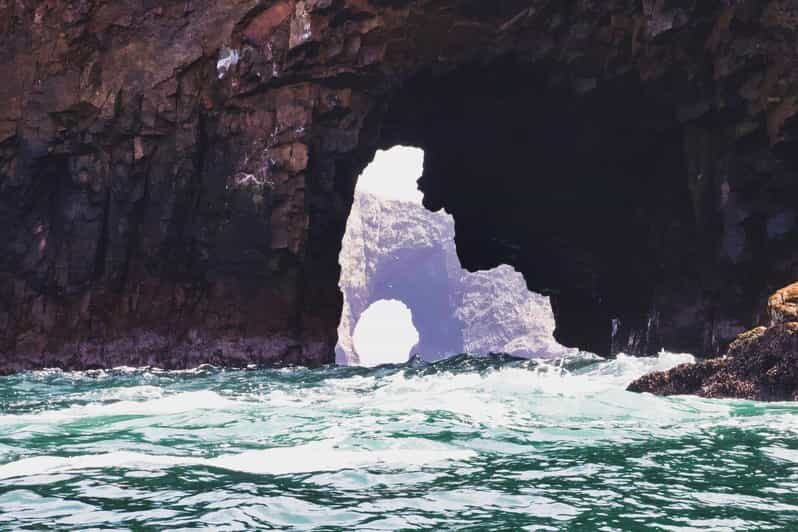 Full Day Paracas and Ballestas Islands - What Travelers Say