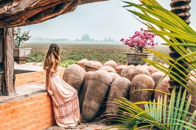 Full Day Paracas Ica and Huacachina From Lima All Included - Wildlife and Adventure