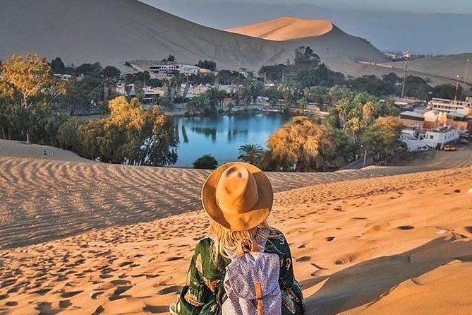 Full Day Paracas Ica and Huacachina From Lima All Included - Winery and Wine Tasting