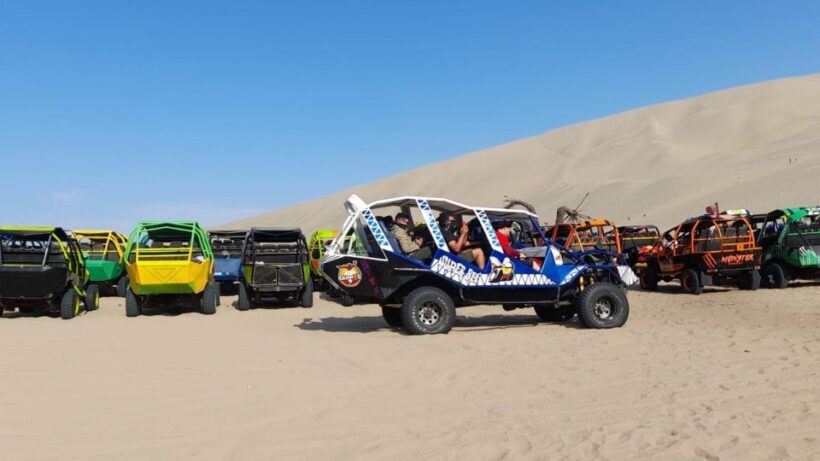 Full day Paracas- Ica - Huacachina - An Overview of the Day