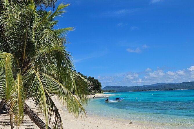 Full Day Pele Island Boat Tour with Barbeque Lunch - What to Expect from the Pele Island Full-Day Tour