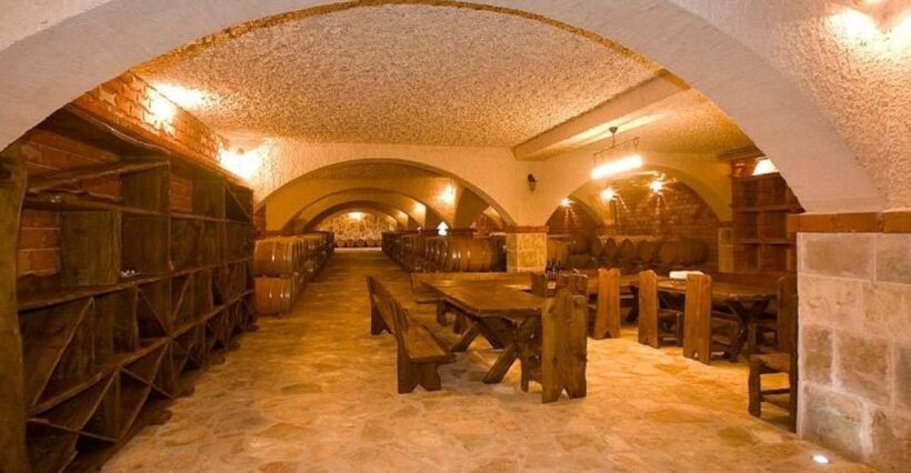 Full-Day Peljesac Wine Tour - Practical Details & Value