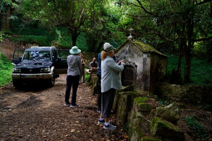Full-Day, Pena, Regaleira & Monserrate . - Transportation and Group Size