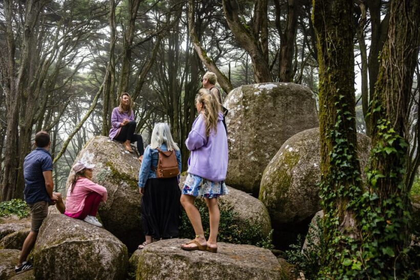 Full-Day, Pena, Regaleira & Monserrate . - Price and Value