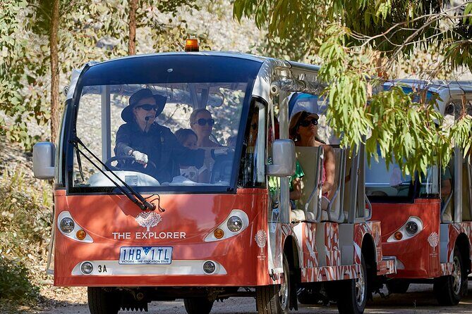 Full-Day Penguins and Wildlife Nature Experience from Melbourne - Value and Practical Considerations