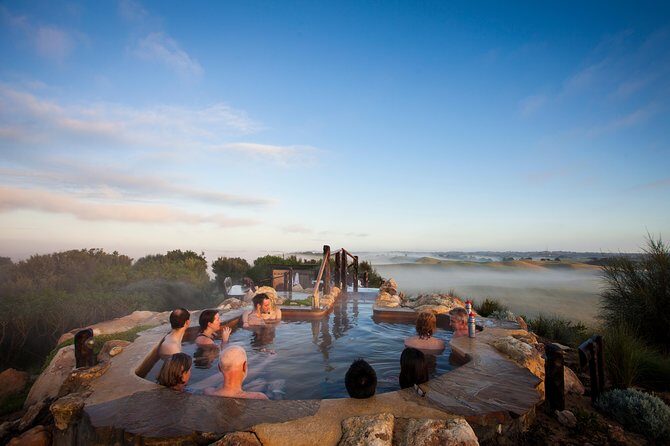 Full-Day Penguins and Wildlife Nature Experience from Melbourne - Who Should Consider This Tour?
