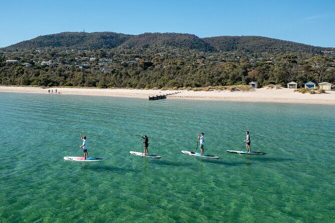 Full-Day Penguins and Wildlife Nature Experience from Melbourne - FAQ