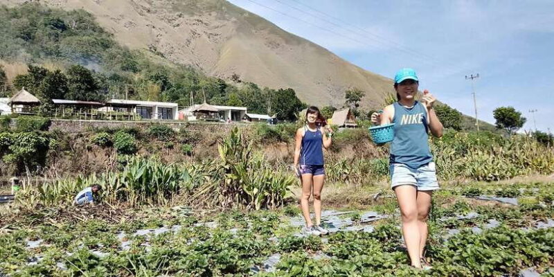 Full Day Pergasingan Hill - Authentic Experiences and What Reviewers Say