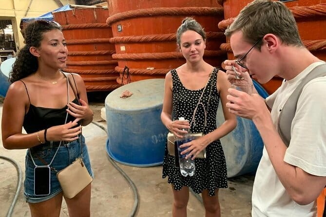 Full day Phu Quoc Discovery 4 Island with Cable Car Tour - Who Is This Tour Best For?