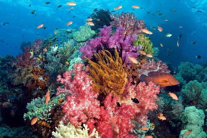 Full Day Phu Quoc Triple Island Tour by Boat and Cable Car - FAQ