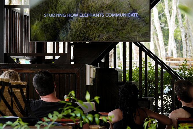 Full-Day Phuket Elephant Sanctuary Tour with Lunch and Dinner - Practical Details: What You Need to Know