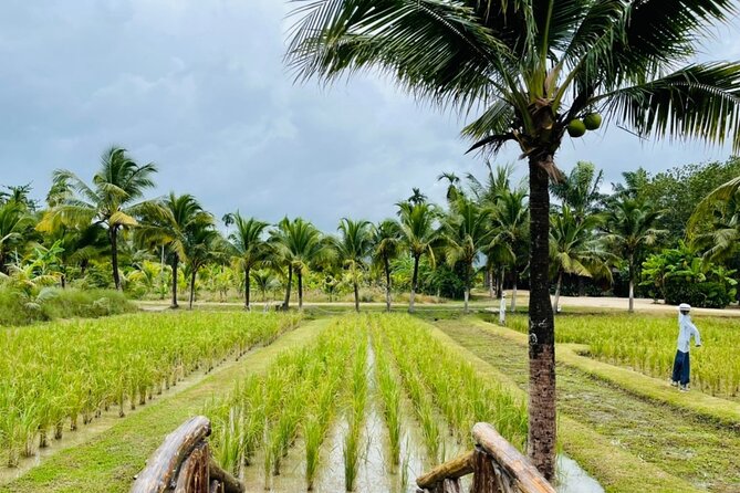 Full-Day Phuket Local Life Culture Tour with Pickup and Lunch - Who Is This Tour Best For?