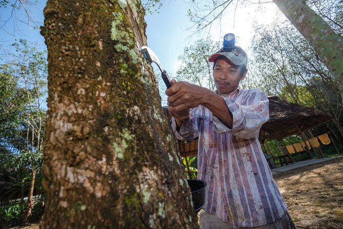 Full-Day Phuket Local Life Culture Tour with Pickup and Lunch - FAQ