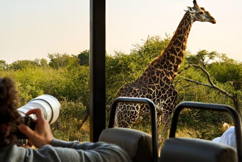 Full-Day Pilanesberg Safari from Sun City - Introduction: Setting the Scene