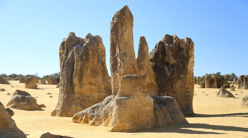 Full Day Pinnacles Desert and New Norcia - Practical Tips for Travelers