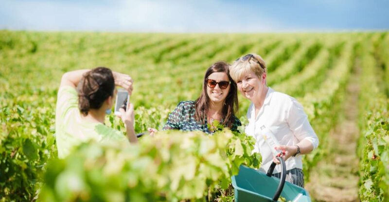 Full Day Pommery Small Group Tour - Who Should Consider This Tour?