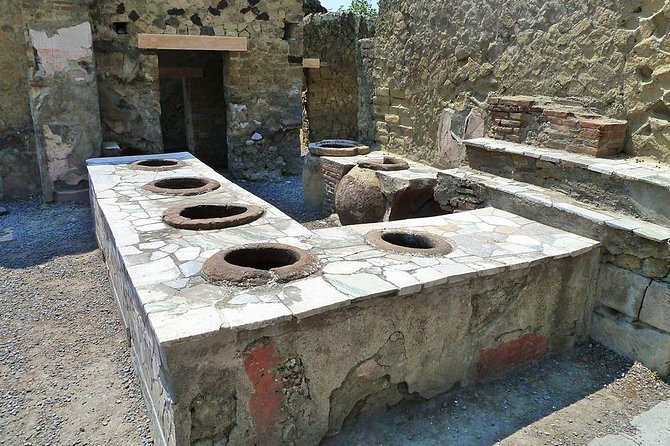 Full-Day Pompeii - Vesuvius - Winery Lunch Experience Private Tour - Who Should Consider This Tour?