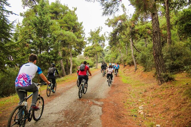 Full Day Princess Island Tour Lunch,Tranfer and By Boat Istanbul - Transportation and Itinerary