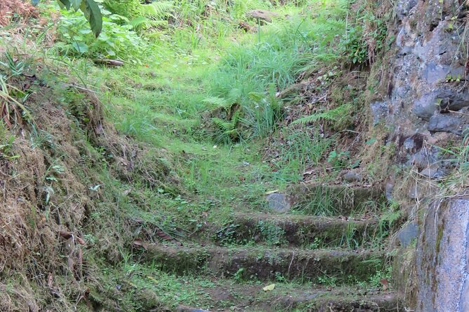 Full Day Private 4x4 Adventure in Madeira - Who Should Book This Tour?