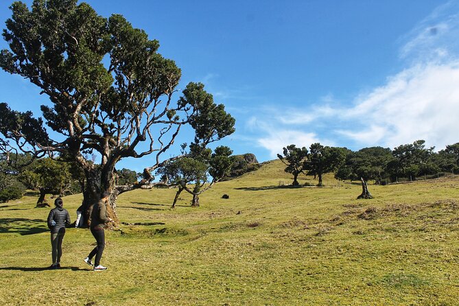 Full Day Private 4x4 Tour in West Madeira With Local Guide - Tour Overview
